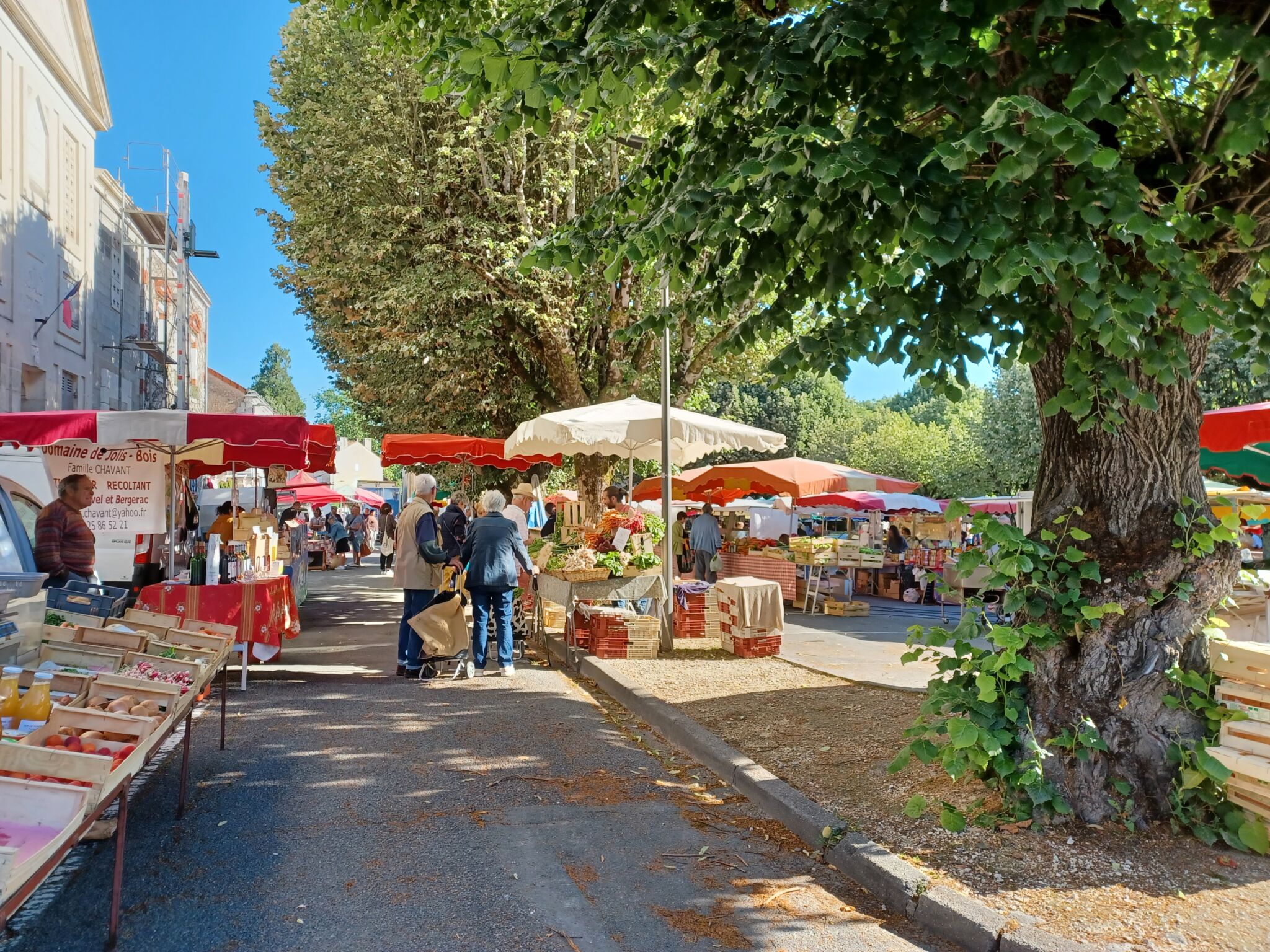Ribérac : Un Voyage à Travers l'Histoire Locale – Périgord Inattendu